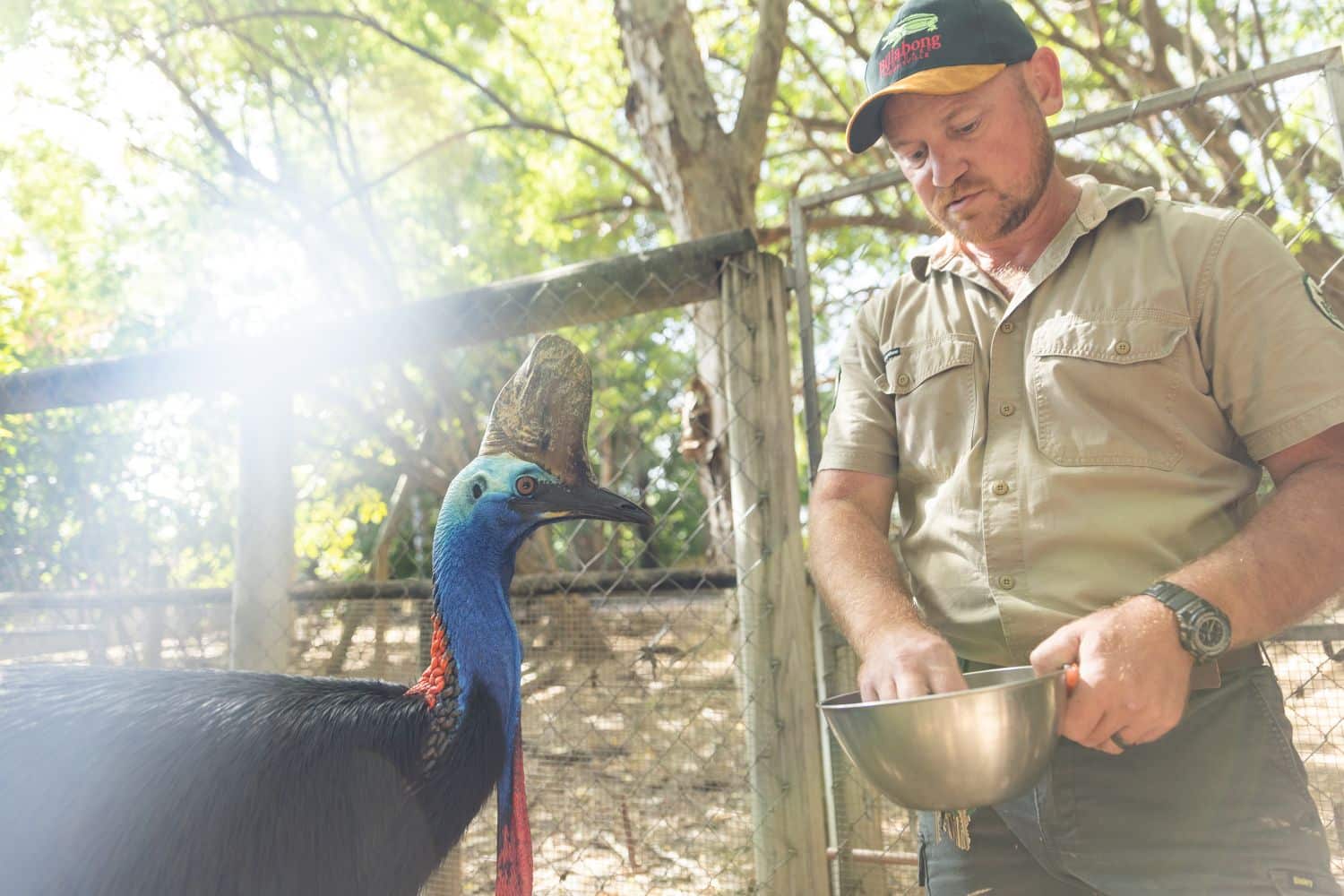 Discover the Astonishing Wildlife at Billabong Sanctuary - Photo Gallery