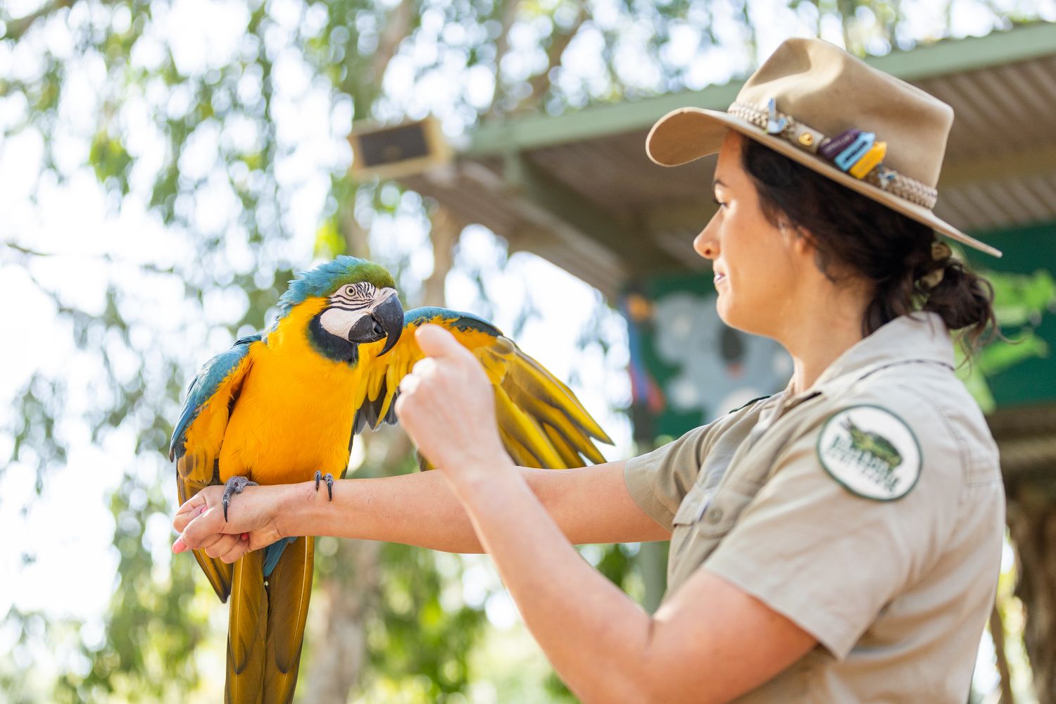 Discover the Astonishing Wildlife at Billabong Sanctuary - Photo Gallery