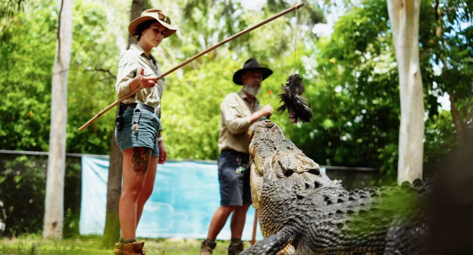 Discover the Fascinating World of Pythons at Billabong Sanctuary