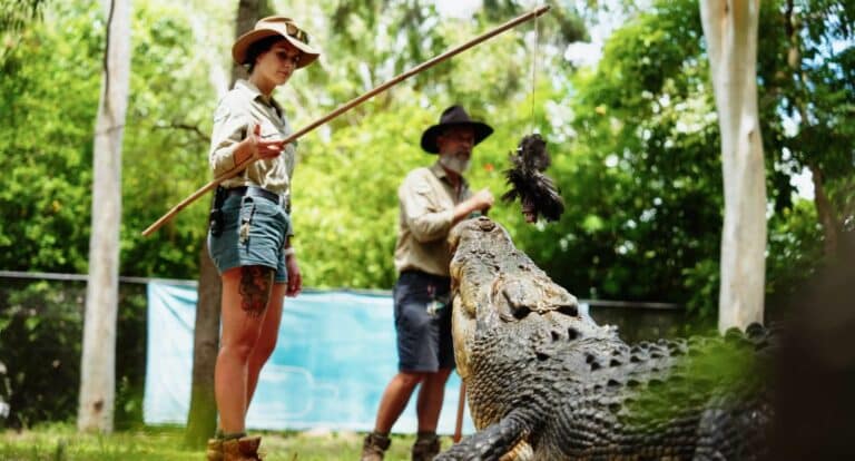 Discover the Fascinating World of Australia's Perentie