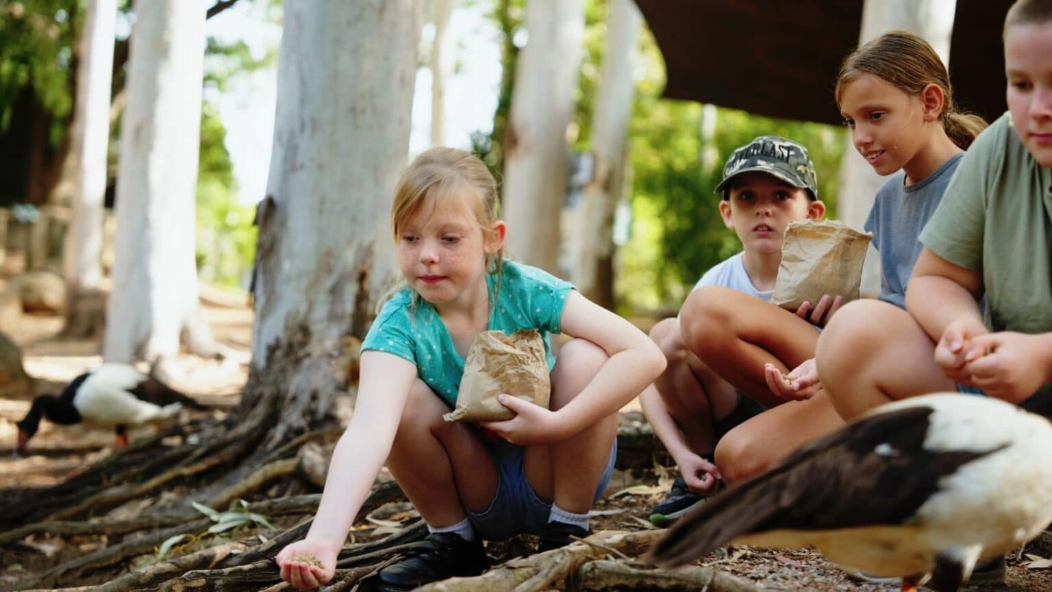 Discover the Astonishing Wildlife at Billabong Sanctuary - Photo Gallery