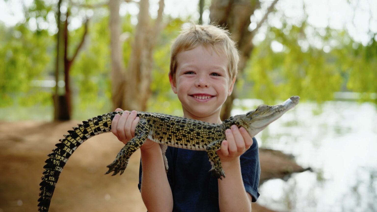 Discover the Astonishing Wildlife at Billabong Sanctuary - Photo Gallery