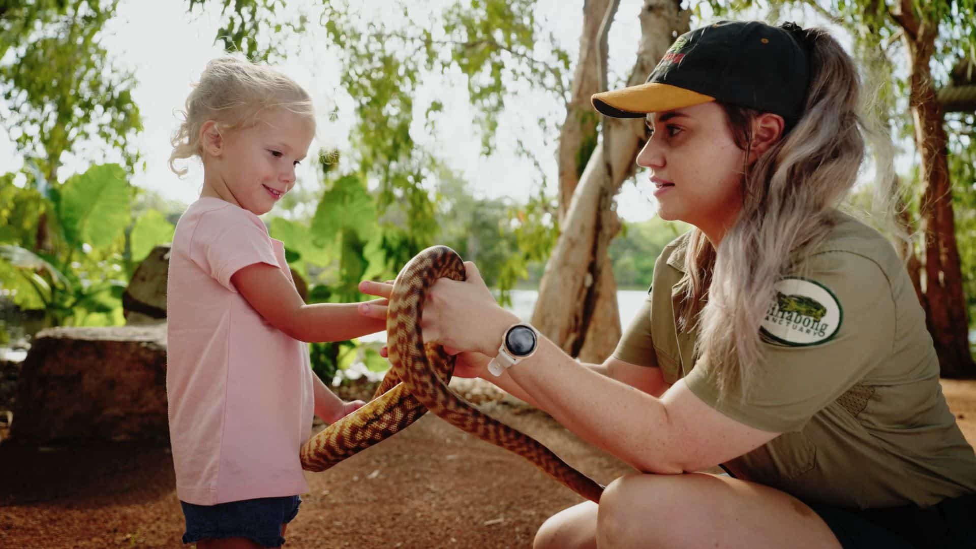 Discover the Fascinating World of Pythons at Billabong Sanctuary