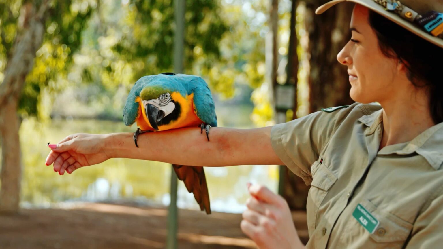 Discover the Astonishing Wildlife at Billabong Sanctuary - Photo Gallery