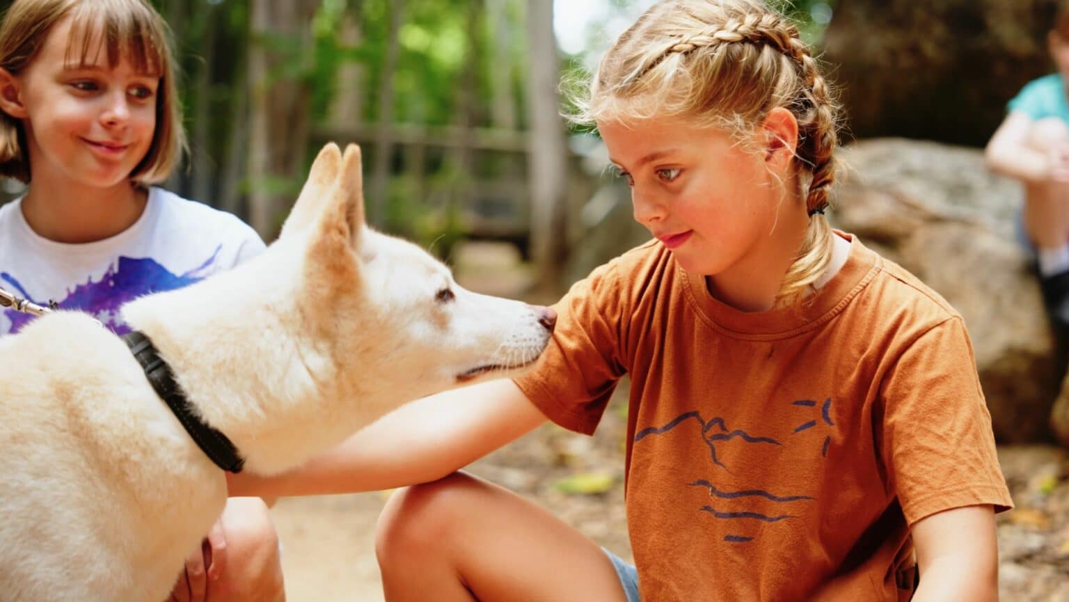 Discover the Astonishing Wildlife at Billabong Sanctuary - Photo Gallery