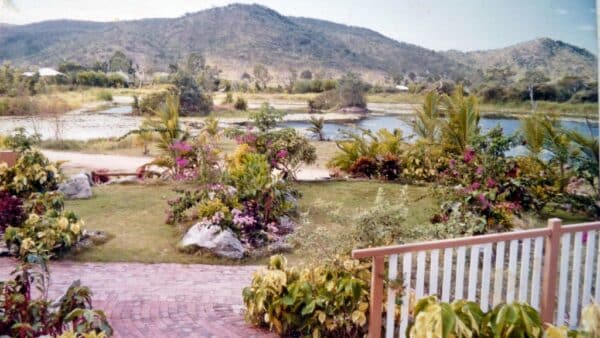 Discover the fascinating origins of Billabong Sanctuary - A journey ...