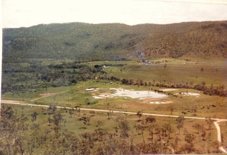 Discover the fascinating origins of Billabong Sanctuary - A journey ...