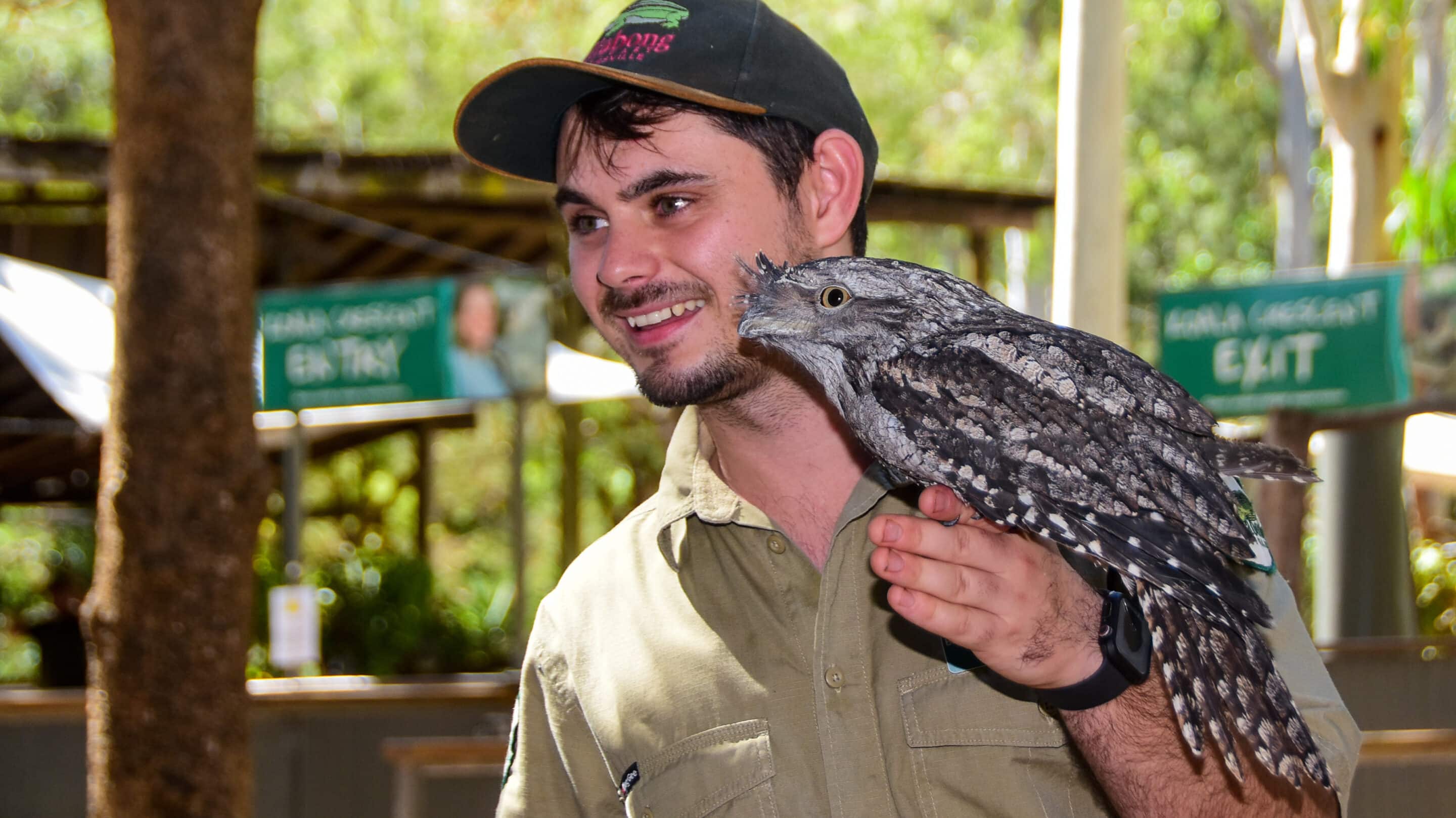 Queensland Public Holiday - Billabong Sanctuary
