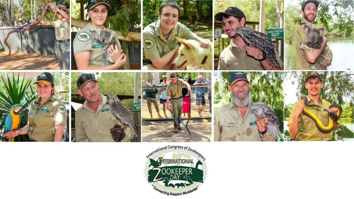 International Zookeeper Day - Billabong Sanctuary