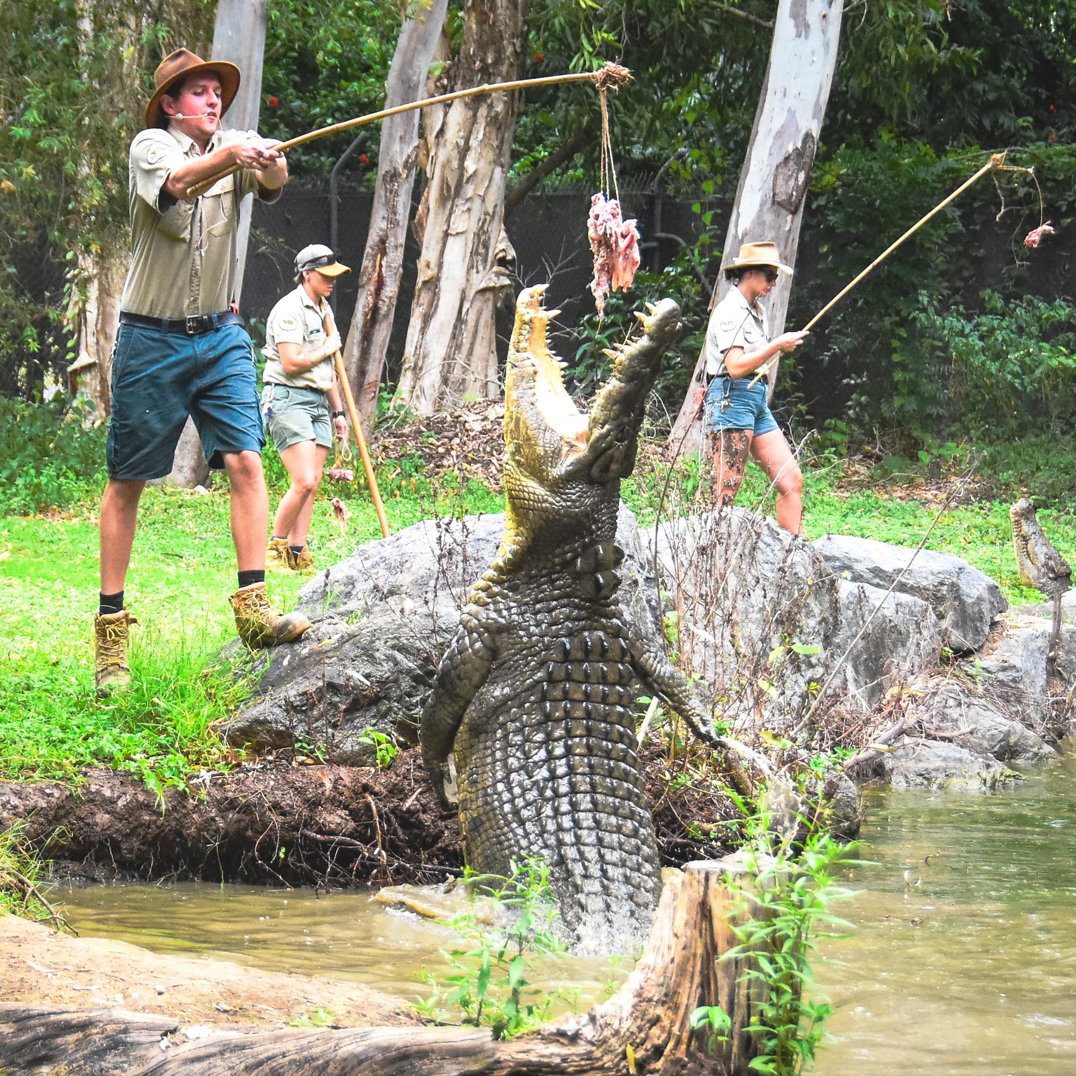 Farewell Ranger Nick! - Billabong Sanctuary