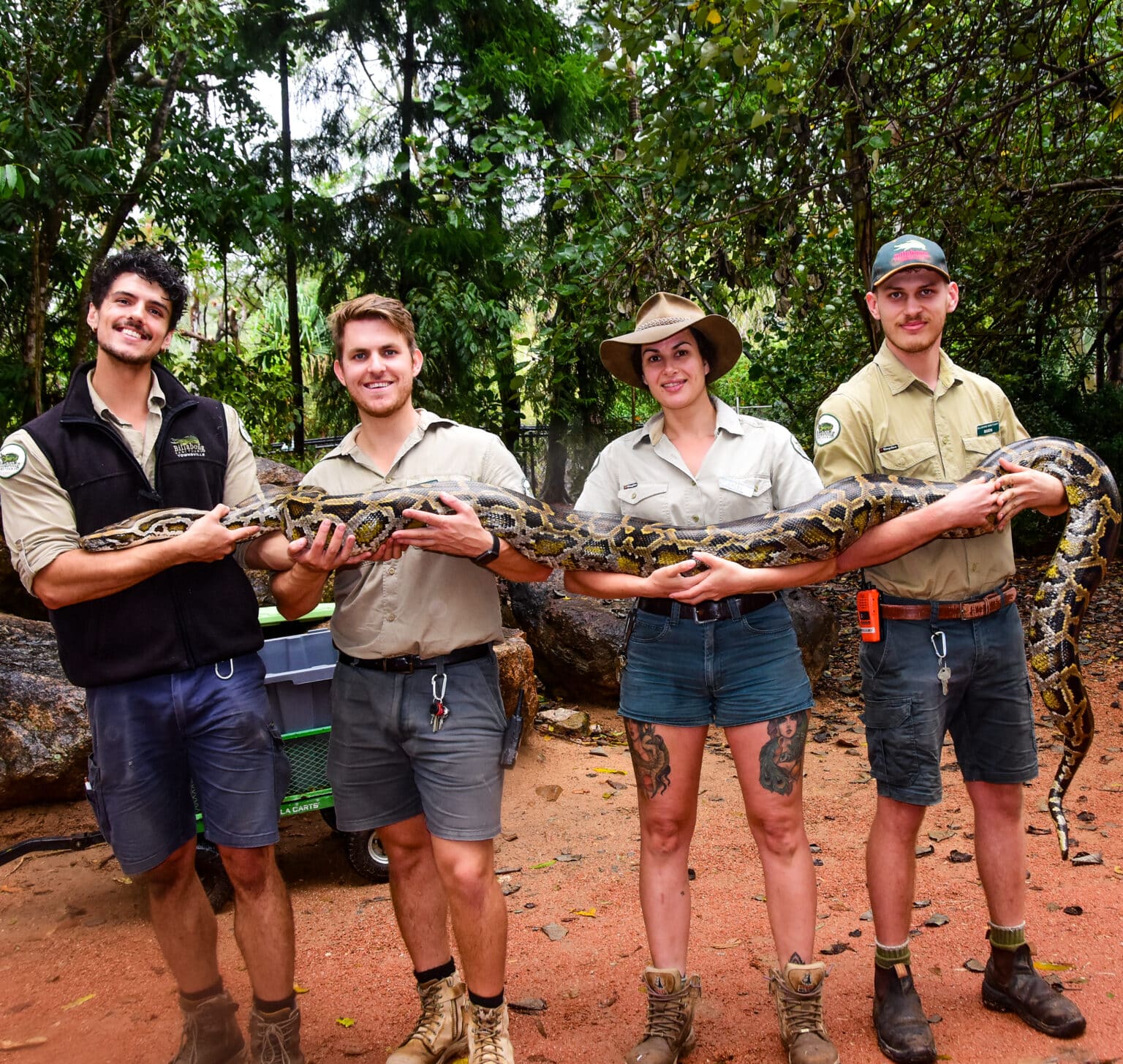 Burmese Python | Billabong Sanctuary