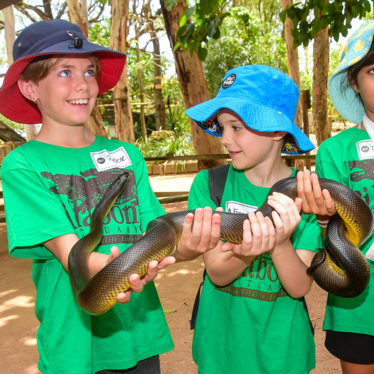 Junior Rangers Update! - Billabong Sanctuary