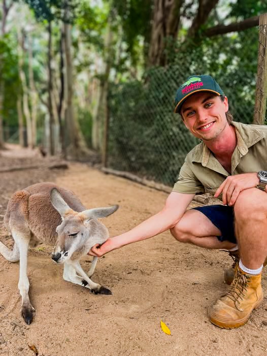 New Face in the Mob — meet Ranger Andy! - Billabong Sanctuary